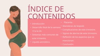 Segundo Trimestre del embarazo presentación | PPTX