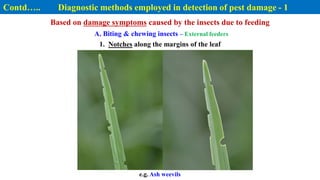 2 type of damage(1).pdf sub : principle of integrated pest and disease ...