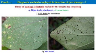 2 type of damage(1).pdf sub : principle of integrated pest and disease ...