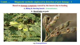 2 type of damage(1).pdf sub : principle of integrated pest and disease ...