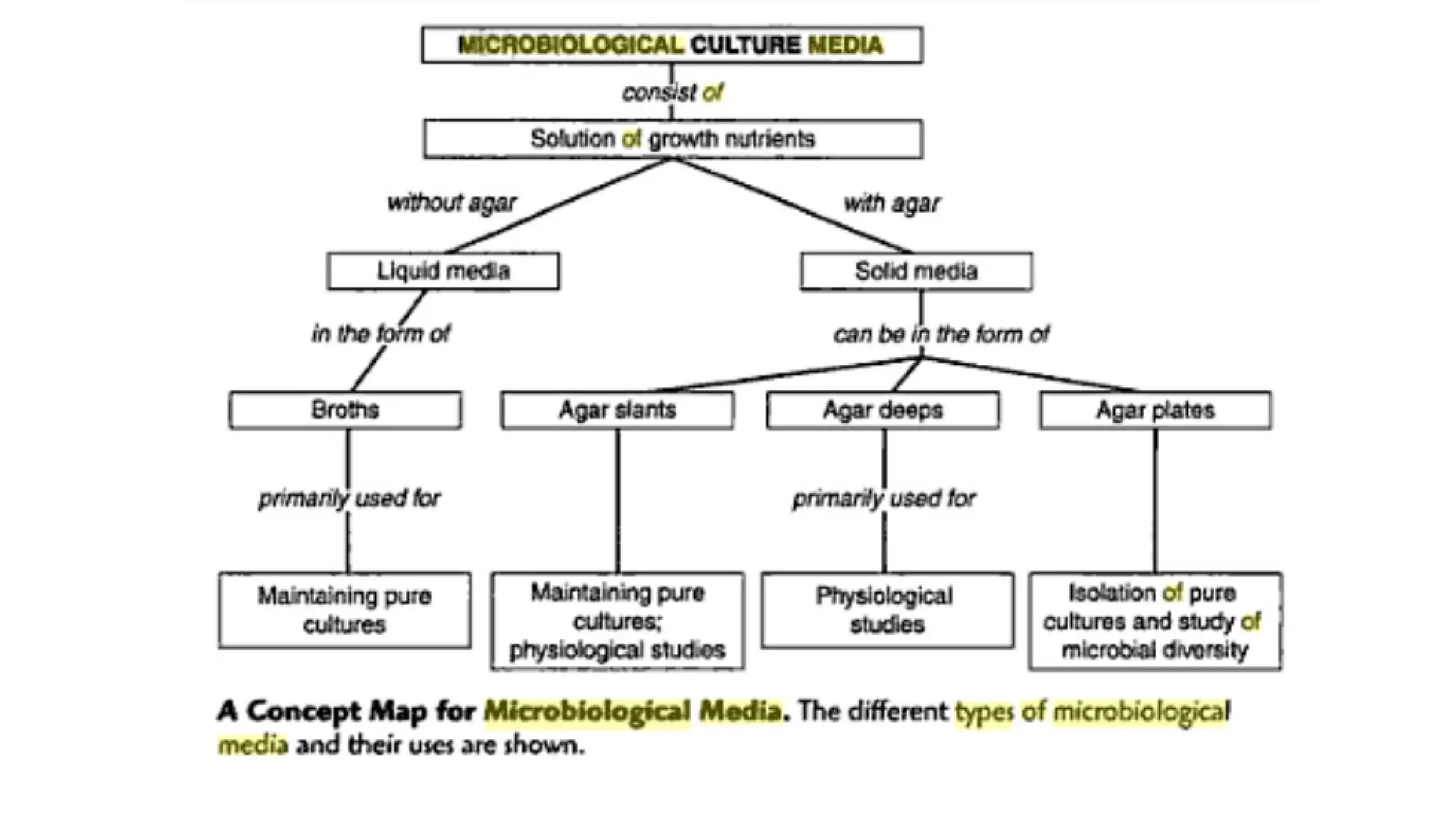 Types of culture media and culture techniques | PDF
