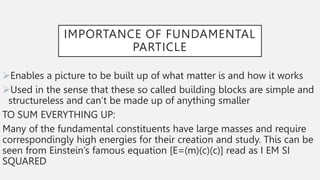 2 Types of Fundamental Particle.pptx