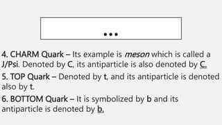 2 Types of Fundamental Particle.pptx