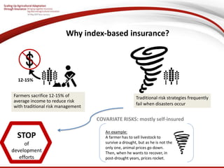 Ulrich Hess: Taking stock of index based agricultural insurance | PPT