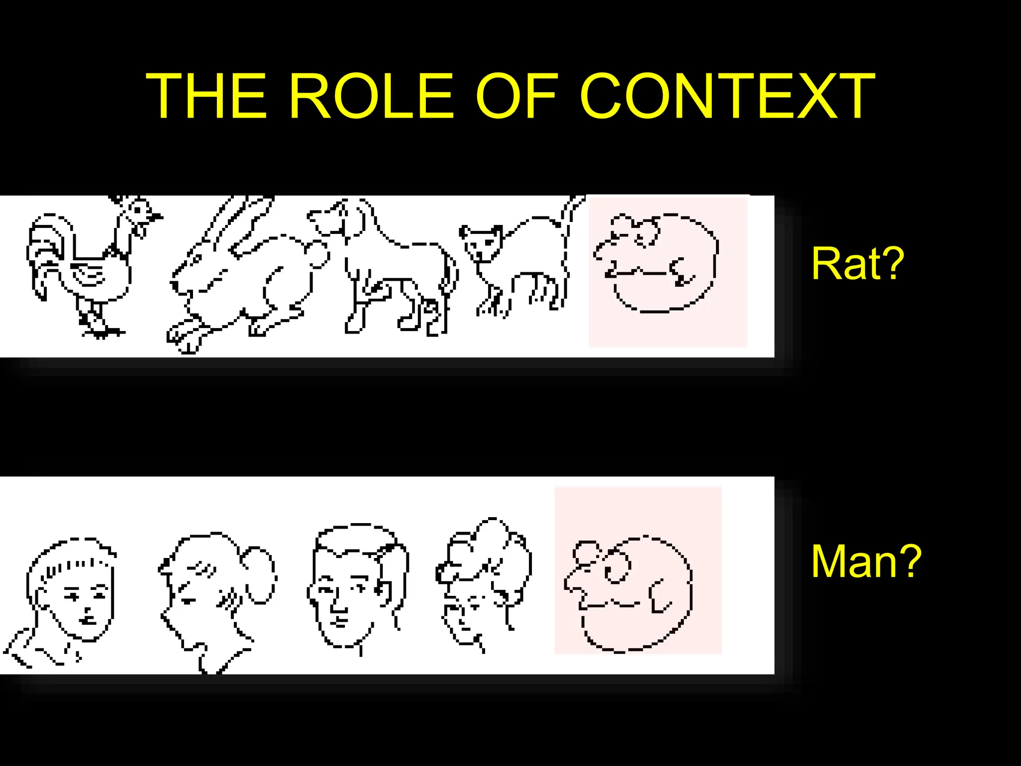 UNDERSTANDING THE PERCEPTUAL PROCESS.pptx