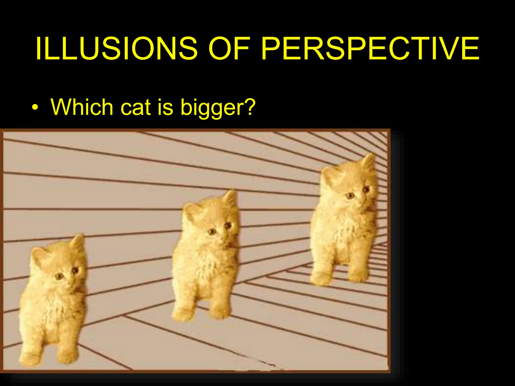 UNDERSTANDING THE PERCEPTUAL PROCESS.pptx