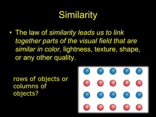 UNDERSTANDING THE PERCEPTUAL PROCESS.pptx