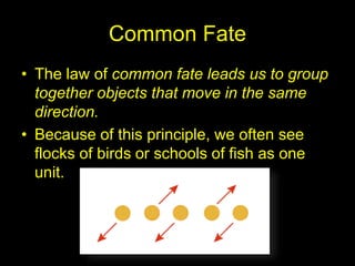 UNDERSTANDING THE PERCEPTUAL PROCESS.pptx