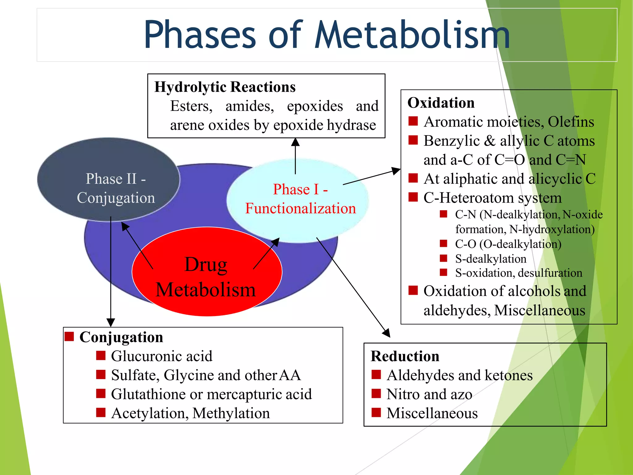 UNIT I: DRUG METABOLISM: S.Y. B. PHARMACY IV SEMESTER | PPTX