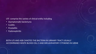 2 UTI.pptx urinary tract infection s evaluation | PPTX
