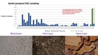 National Map of Organic Carbon in the Soils and Mantle of Mexico | PDF