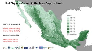 National Map of Organic Carbon in the Soils and Mantle of Mexico | PDF