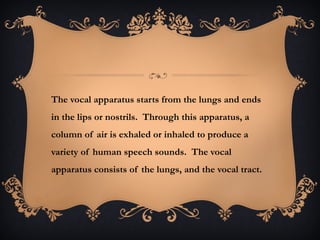 Description of vocal organs from lungs to lips | PPTX
