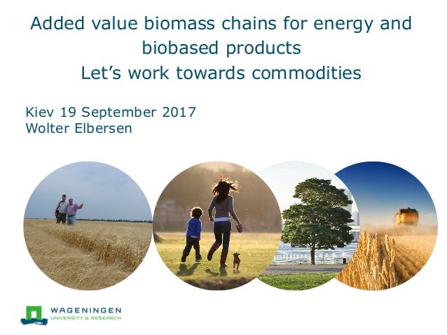 Added value biomass chains for energy and biobased products