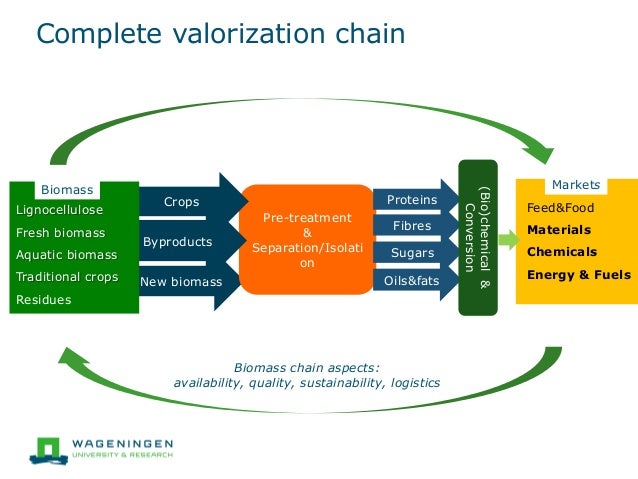 Added value biomass chains for energy and biobased products