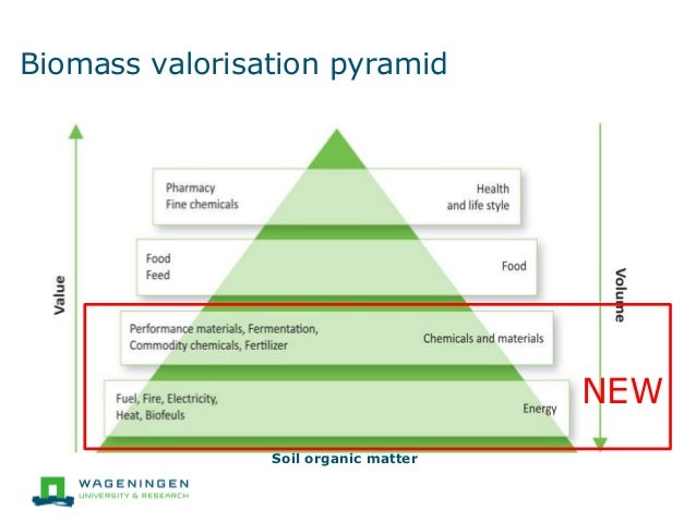 Added value biomass chains for energy and biobased products