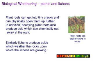 Weathering | PPT