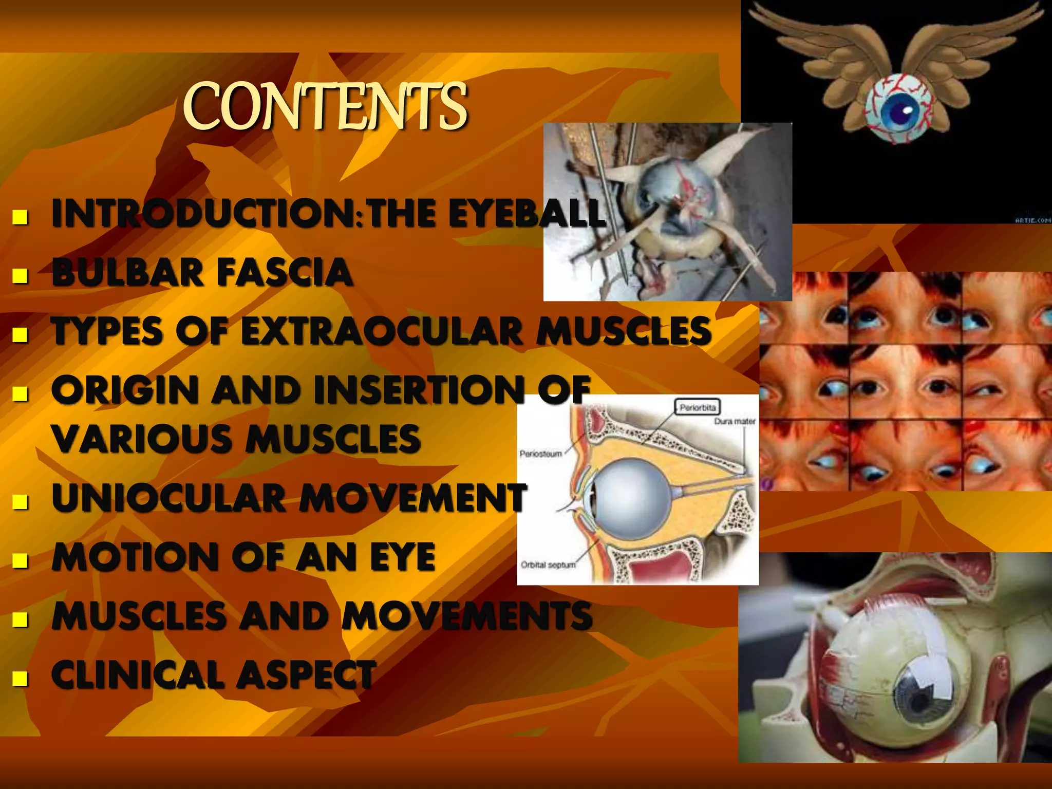 Movement of eyeball | PPTX