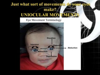 Movement of eyeball | PPTX
