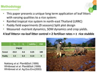 Sequestering soil carbon in the low input farming systems of the semi ...