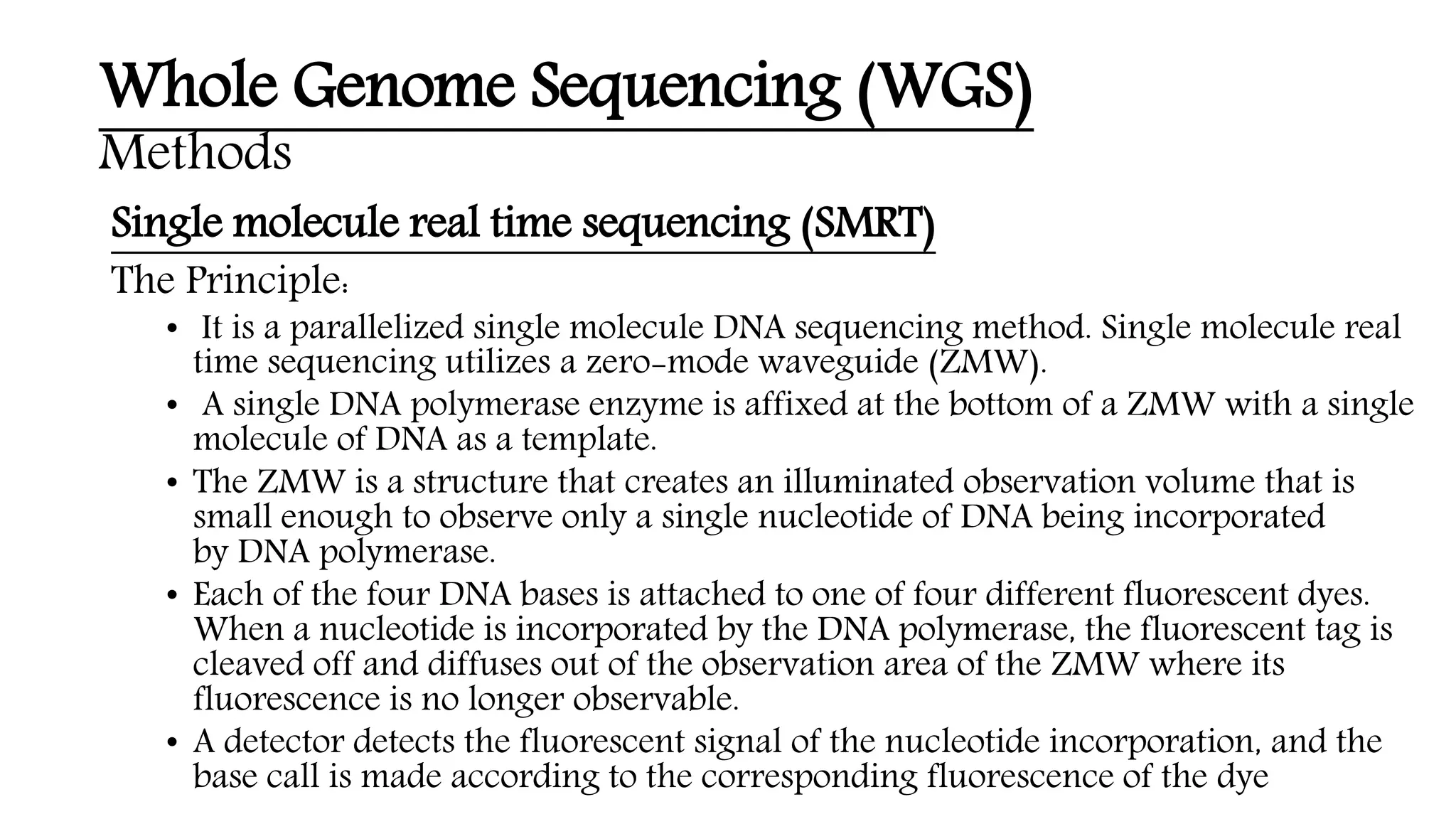 2 whole genome sequencing and analysis | PPTX