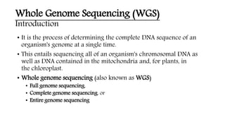 2 whole genome sequencing and analysis | PPTX | Genetics | Science
