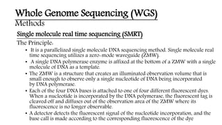 2 whole genome sequencing and analysis | PPTX