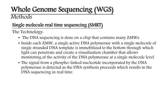 2 whole genome sequencing and analysis | PPTX