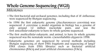 2 whole genome sequencing and analysis | PPTX
