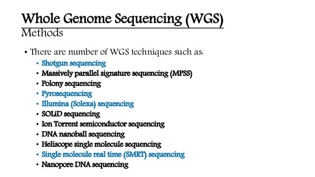 2 whole genome sequencing and analysis