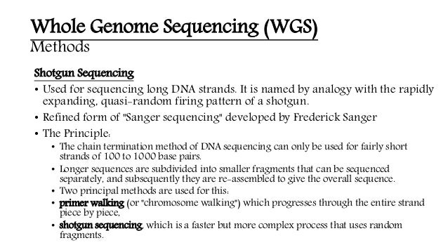 2 whole genome sequencing and analysis