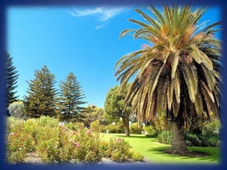 Rebecca Neilson - Whyalla Case Study | PPTX