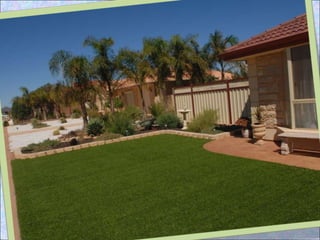 Rebecca Neilson - Whyalla Case Study | PPTX
