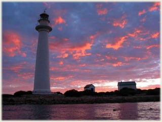 Rebecca Neilson - Whyalla Case Study | PPTX