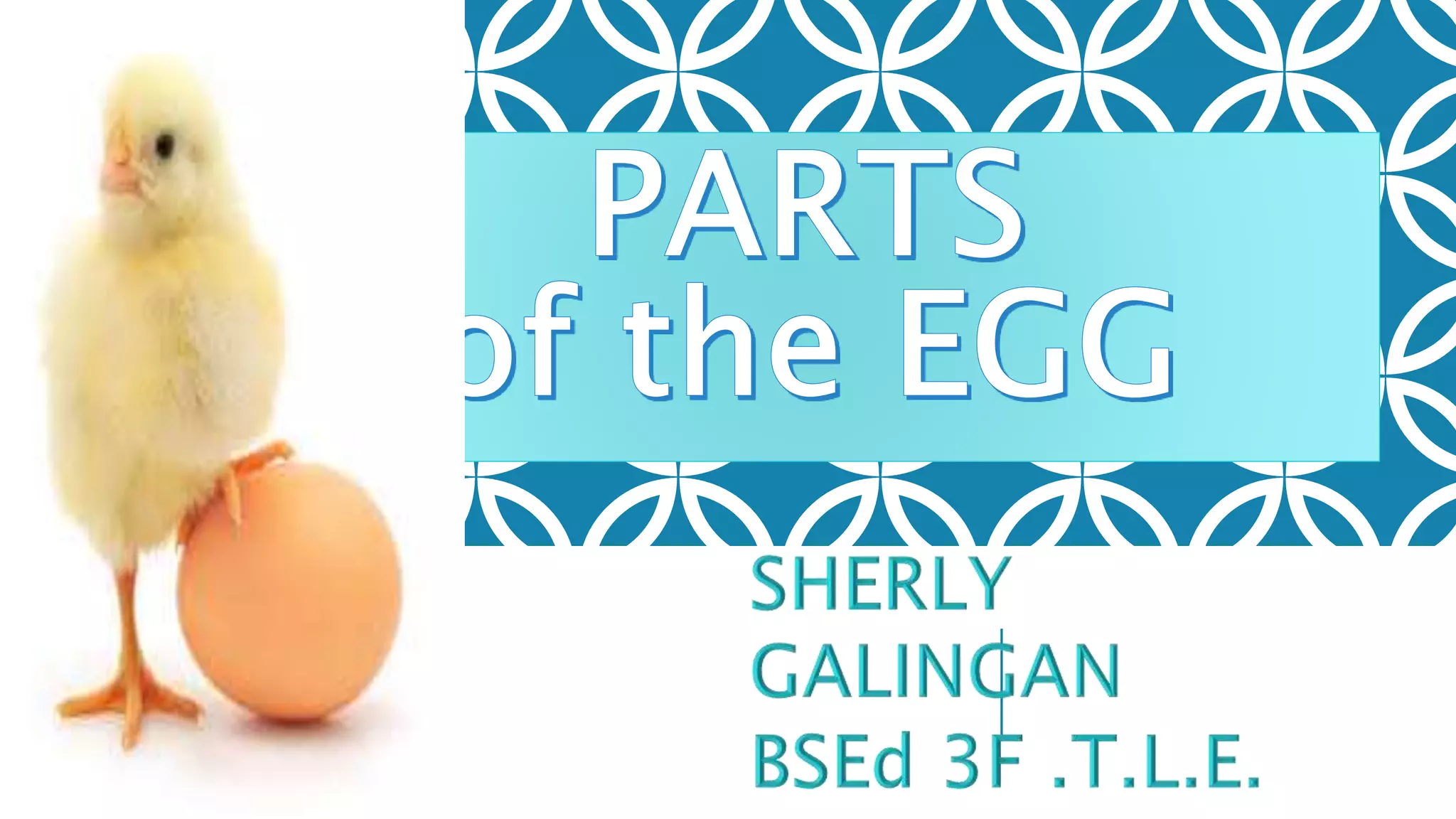 Parts of the egg | PPTX