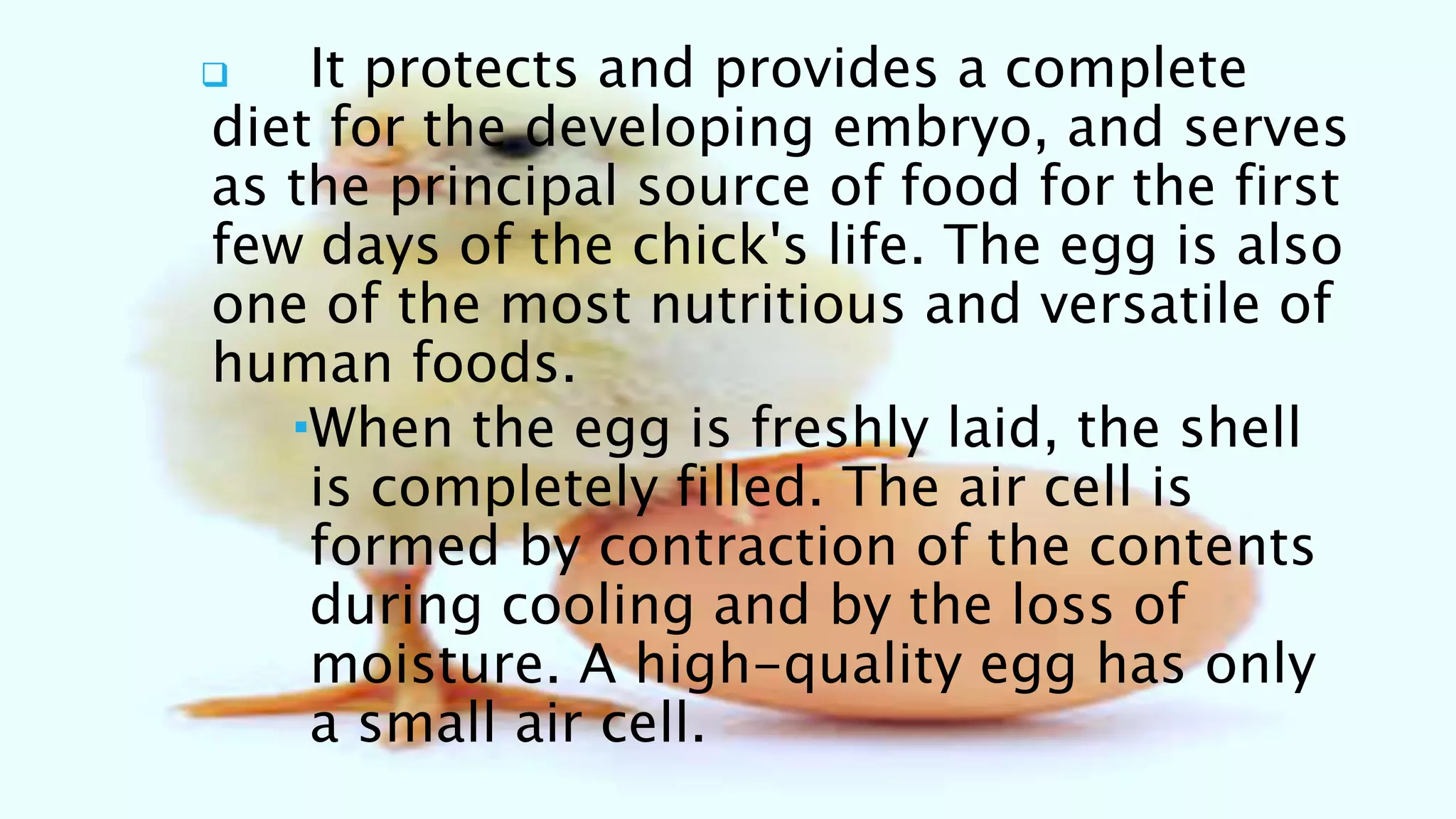 Parts of the egg | PPTX