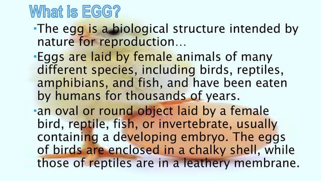 Parts of the egg | PPTX