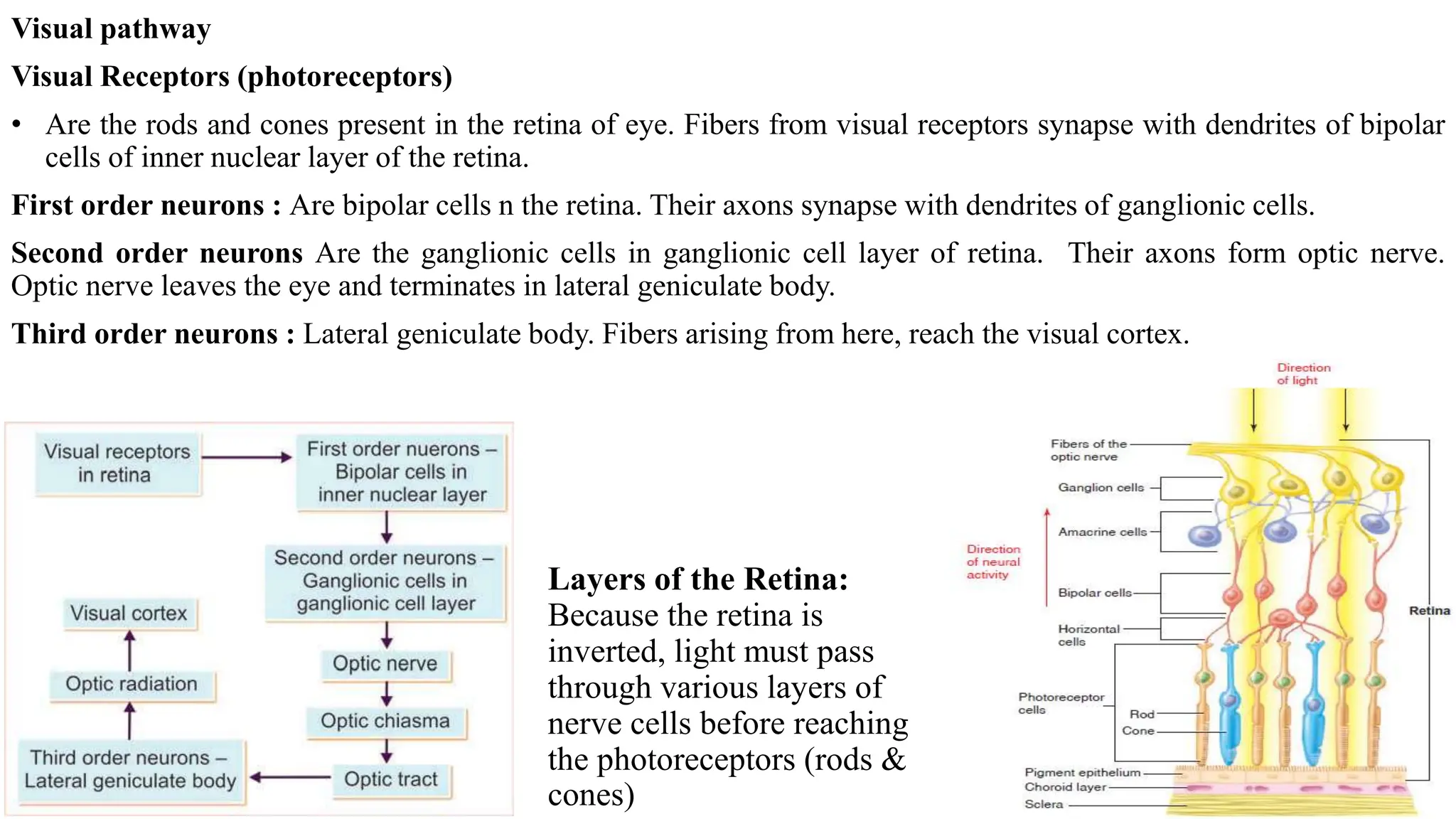 THE_PHYSIOLOGY_OF_VISION_(DR_EZE).pptx A comprehensive summery | PPTX
