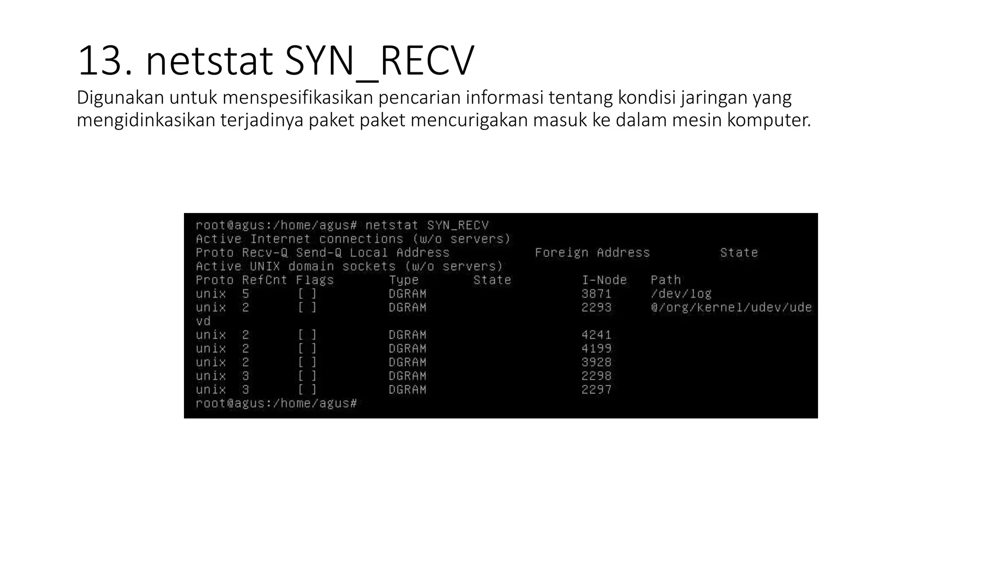 PARAMETER NETSTAT | PPT