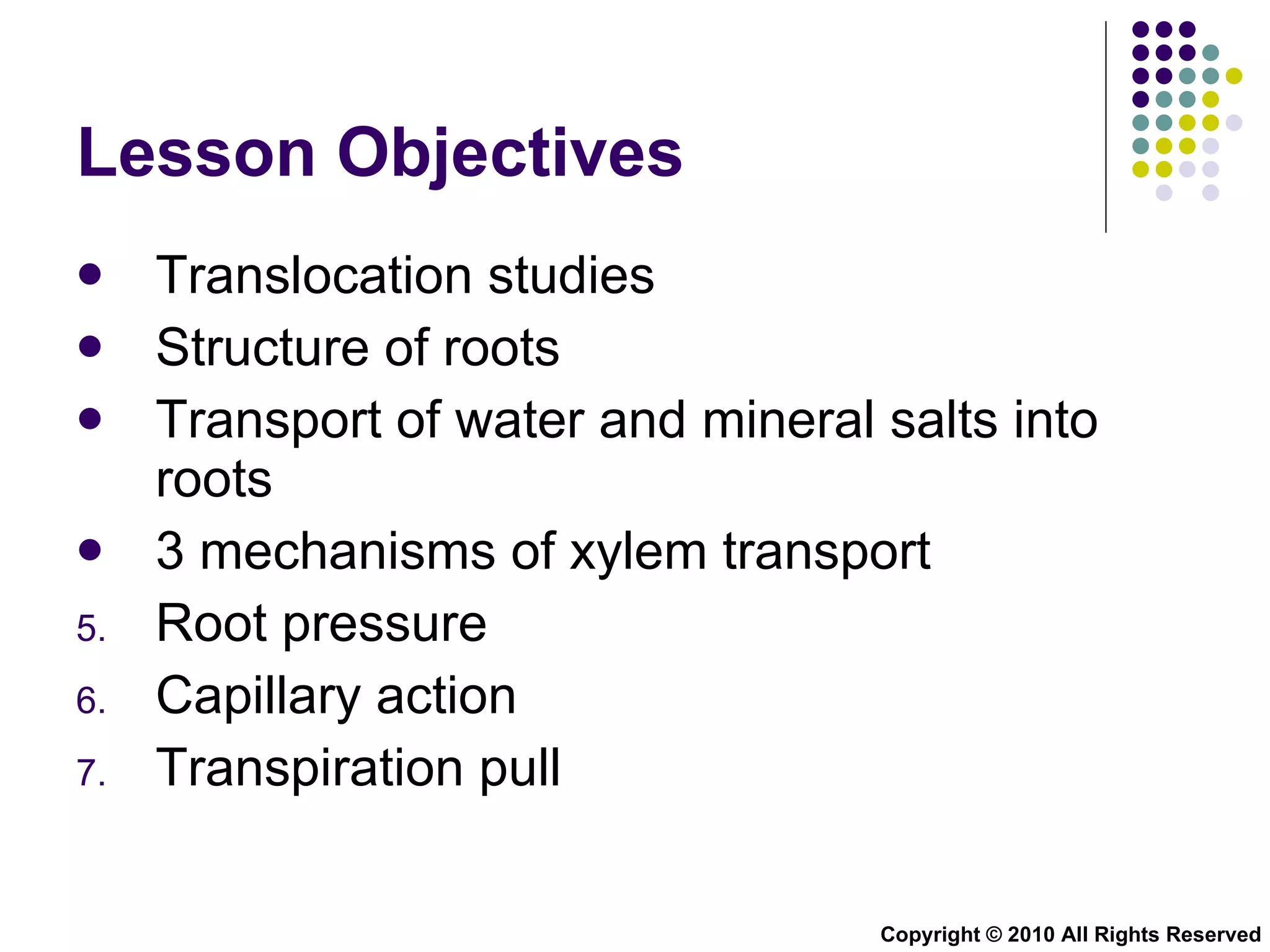 Chapter 9 Transport in Plants Lesson 2 - Xylem and Phloem structure and ...