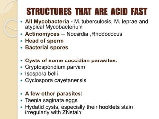 Ziehl-Neelsen n stain / Acid fast stain | PPTX