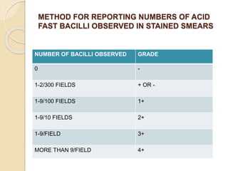 Ziehl-Neelsen n stain / Acid fast stain | PPTX
