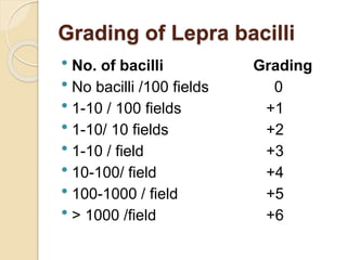 Ziehl-Neelsen n stain / Acid fast stain | PPTX