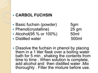 Ziehl-Neelsen n stain / Acid fast stain | PPTX