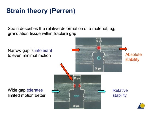 Biomechanics and biology of relative stability
