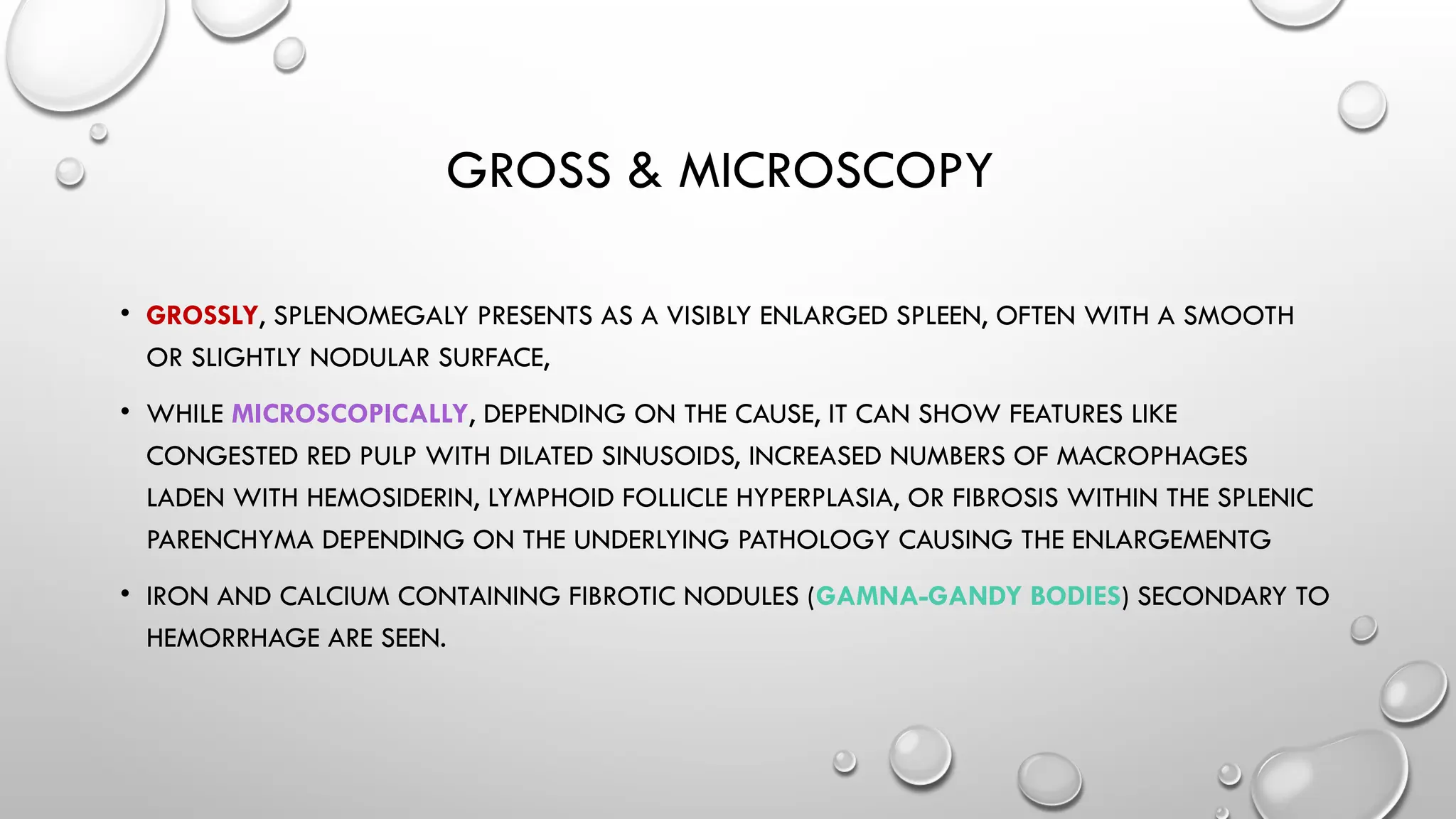 Splenomegaly , Hypersplenism etiology , pathology | PPTX