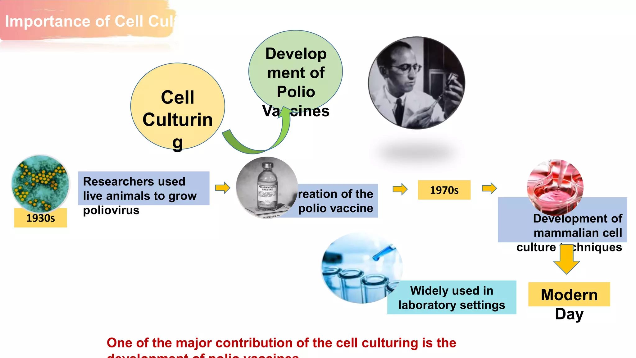 Animal Cell Culture and its application | PPTX