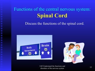Functions and disorders of the Nervous Systems | PPT