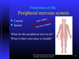 Functions and disorders of the Nervous Systems | PPT