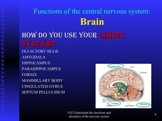 Functions and disorders of the Nervous Systems | PPT